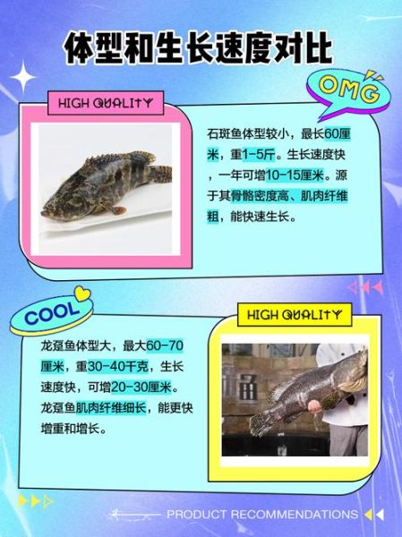 龙趸石斑鱼的营养价值_龙趸石斑鱼的功效与作用-第2张图片-山城妙识