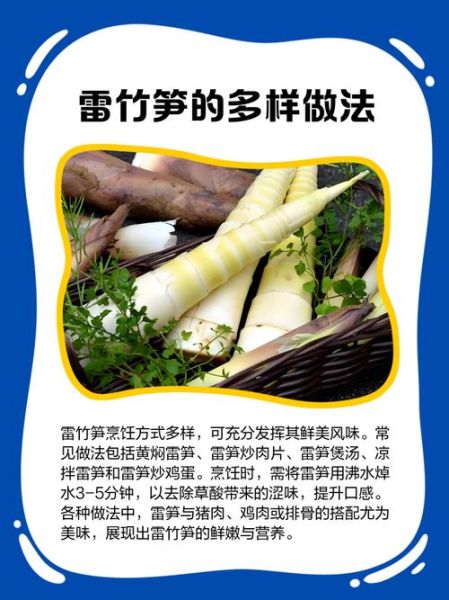 雷竹笋种植技术_雷竹笋怎么种才能高产-第1张图片-山城妙识