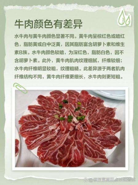 水牛肉的功效与作用_水牛肉的禁忌有哪些-第3张图片-山城妙识