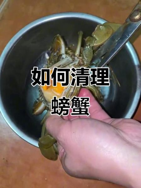 河蟹怎么处理最干净_河蟹清洗步骤-第3张图片-山城妙识