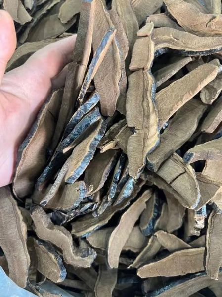 黑灵芝怎么吃效果最好_黑灵芝一天吃多少克-第1张图片-山城妙识