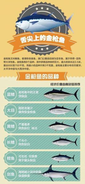 黄鳍金枪鱼贵还是蓝鳍金枪鱼贵_价格差异原因-第1张图片-山城妙识