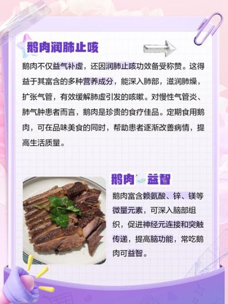 鹅肉的营养价值_鹅肉适合什么人吃-第1张图片-山城妙识