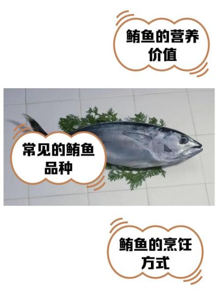 黑鲔鱼多少钱一斤_黑鲔鱼价格为什么这么贵-第2张图片-山城妙识
