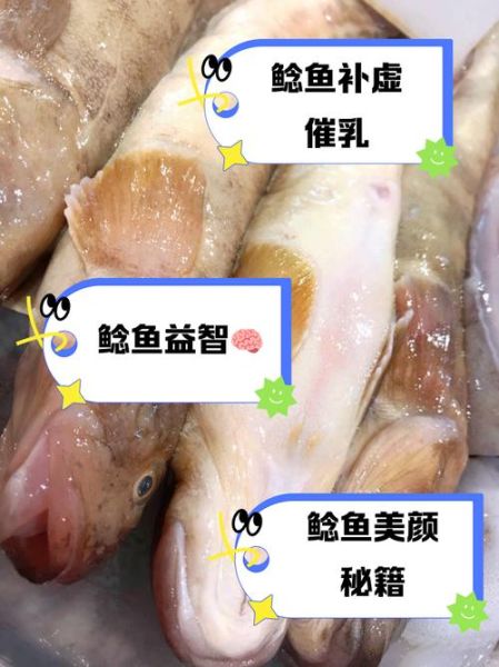 胡子鲶鱼的营养价值_胡子鲶鱼的功效与作用-第1张图片-山城妙识 胡子鲶鱼的营养价值_胡子鲶鱼的功效与作用-第1张图片-山城妙识