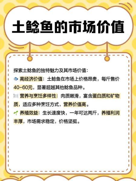 胡子鲶鱼的营养价值_胡子鲶鱼的功效与作用-第3张图片-山城妙识 胡子鲶鱼的营养价值_胡子鲶鱼的功效与作用-第3张图片-山城妙识