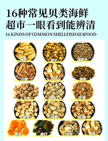 贝壳海鲜名称大全_哪些贝类适合清蒸-第2张图片-山城妙识