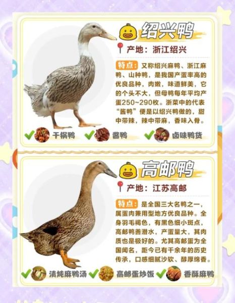 鸭肉的营养价值_鸭肉适合什么人吃-第1张图片-山城妙识