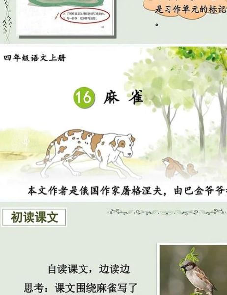 麻雀课文讲了什么_麻雀表达了什么情感-第2张图片-山城妙识