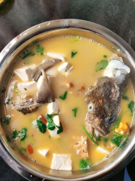 豆腐炖鱼头汤怎么做_鱼头豆腐汤先煎还是先焯水-第2张图片-山城妙识