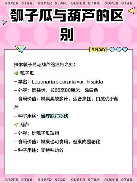 瓠子瓜的功效与作用_孕妇能吃吗-第1张图片-山城妙识