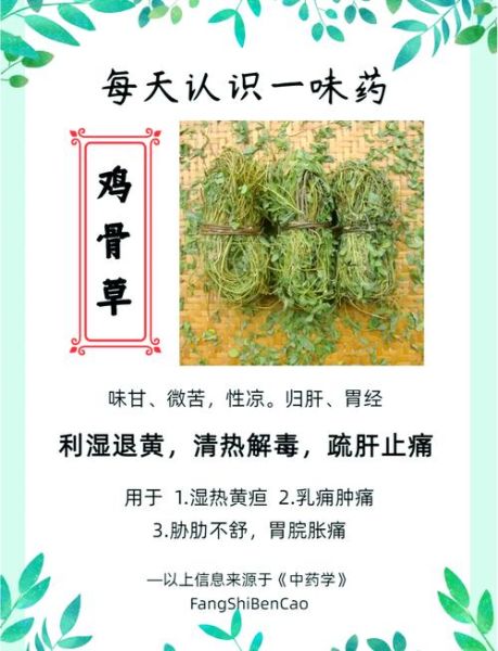 鸡骨草片的功效与作用_鸡骨草片适合什么人吃-第1张图片-山城妙识