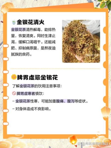 金银花茶喝多了有什么副作用_金银花茶哪些人不能喝-第3张图片-山城妙识