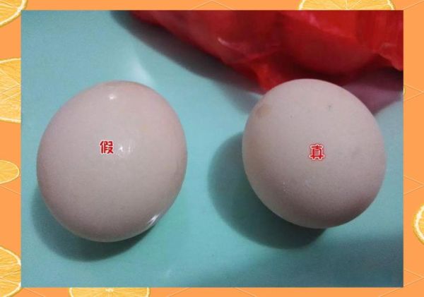人造鸡蛋能吃吗_人造鸡蛋和真鸡蛋的区别-第2张图片-山城妙识