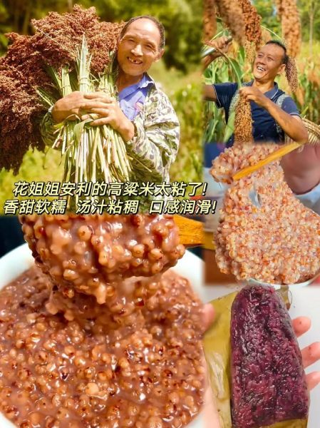 糯高粱米的功效与作用_糯高粱米适合什么人吃-第1张图片-山城妙识