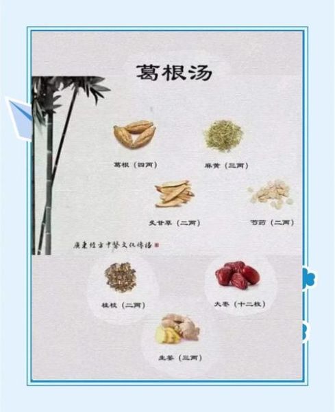 葛根汤方歌功效_葛根汤怎么喝才有效-第1张图片-山城妙识