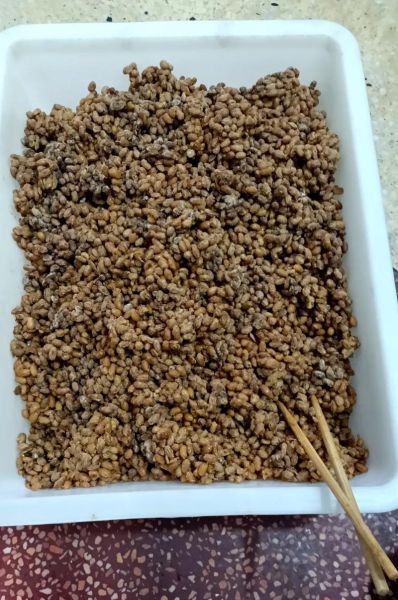 豆豉怎么保存_豆豉图片怎么拍好看-第3张图片-山城妙识