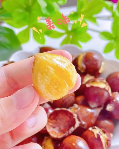 锥栗怎么煮容易剥壳_锥栗煮多久壳才好剥-第3张图片-山城妙识