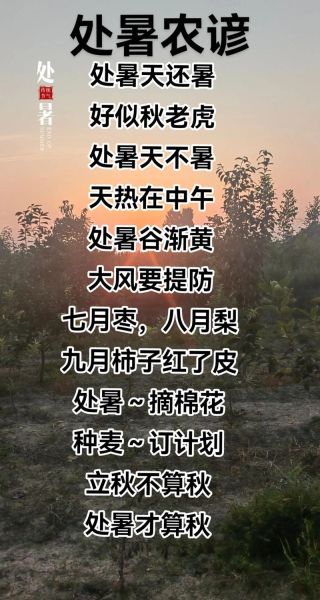 大暑谚语有哪些_大暑农事要注意什么-第3张图片-山城妙识