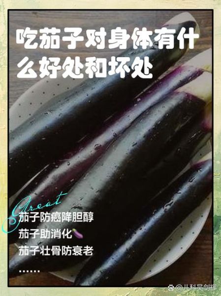 茄子营养价值及功效作用_吃茄子能降血压吗-第1张图片-山城妙识