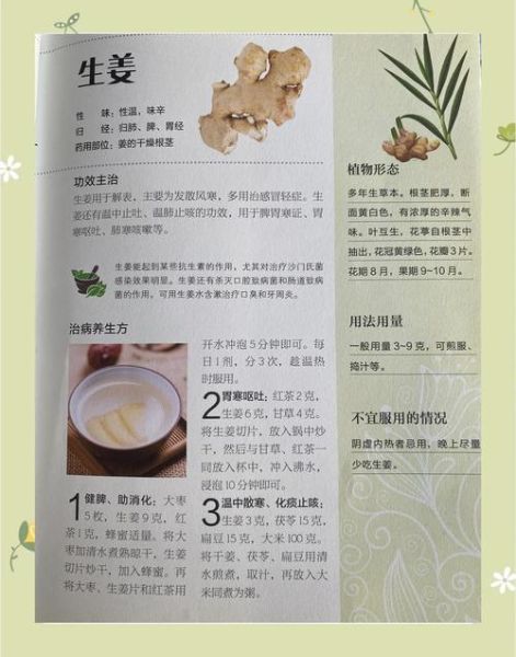 姜的功效与作用有哪些_生姜怎么吃最养生-第1张图片-山城妙识 姜的功效与作用有哪些_生姜怎么吃最养生-第1张图片-山城妙识