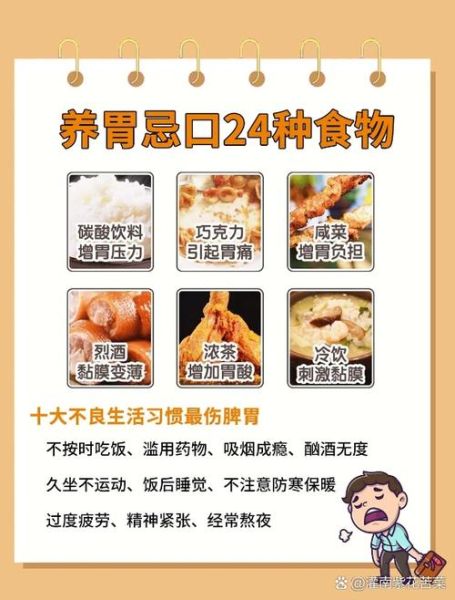 肠胃不好吃什么食物_肠胃不好怎么调理饮食-第1张图片-山城妙识