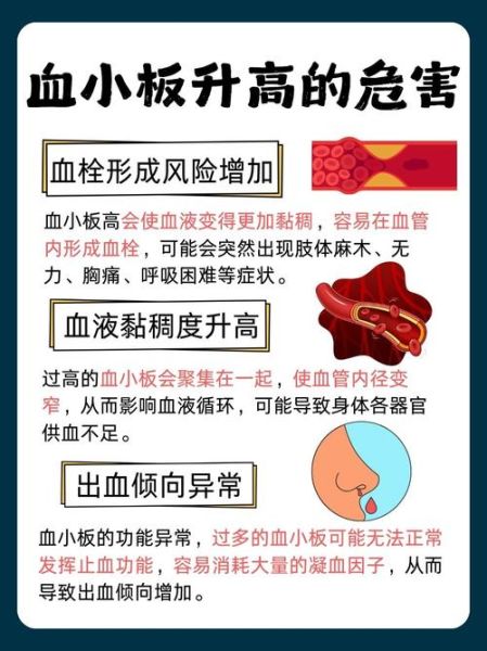 血小板高是怎么回事_有什么危害吗-第1张图片-山城妙识