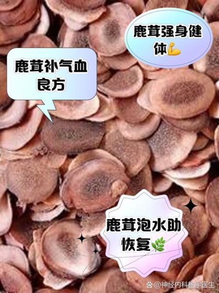 鹿茸泡水喝的功效与作用_鹿茸泡水怎么喝效果最好-第3张图片-山城妙识