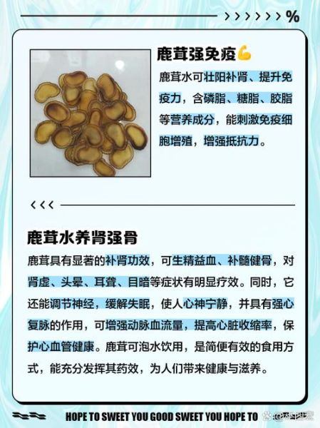 鹿茸泡水喝的功效与作用_鹿茸泡水怎么喝效果最好-第1张图片-山城妙识