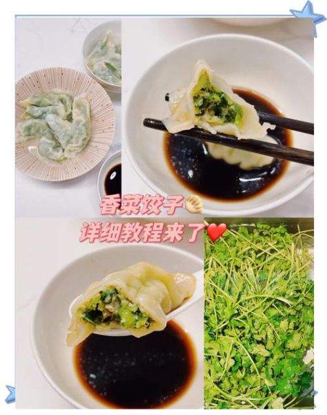 香菜饺子馅怎么调好吃_香菜饺子馅的做法和配料-第1张图片-山城妙识