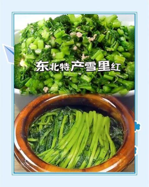 雪里红炖豆腐怎么做_雪里红炖豆腐要焯水吗-第1张图片-山城妙识