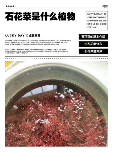 石花菜的功效与作用_石花菜怎么吃最营养-第2张图片-山城妙识