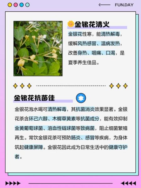 金银花有什么功效_金银花泡水喝的功效与禁忌-第1张图片-山城妙识