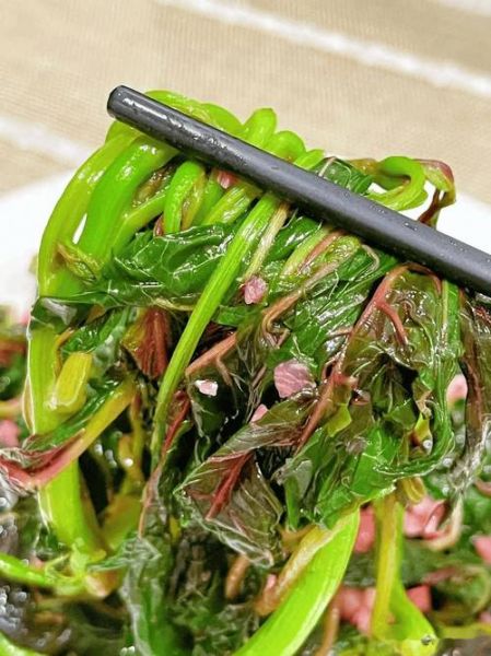 降火的菜有哪些_吃什么菜清热去火最快-第1张图片-山城妙识