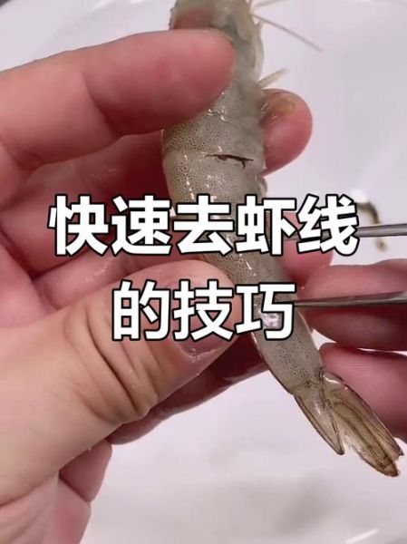 虾线是什么_虾线怎么去除-第3张图片-山城妙识