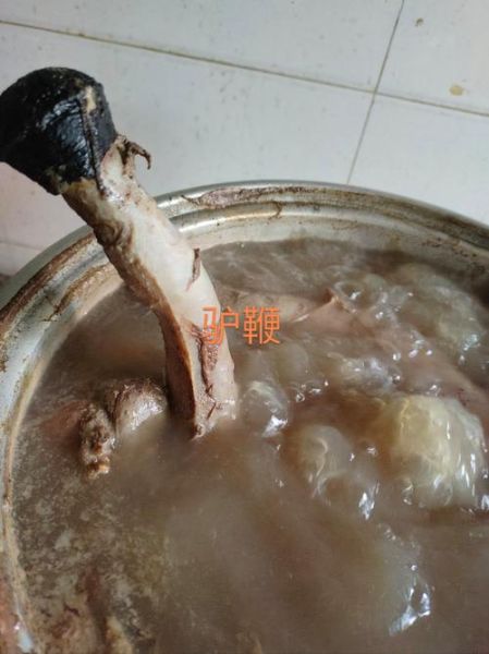 驴鞭价格多少钱一根_驴鞭怎么挑选才划算-第3张图片-山城妙识