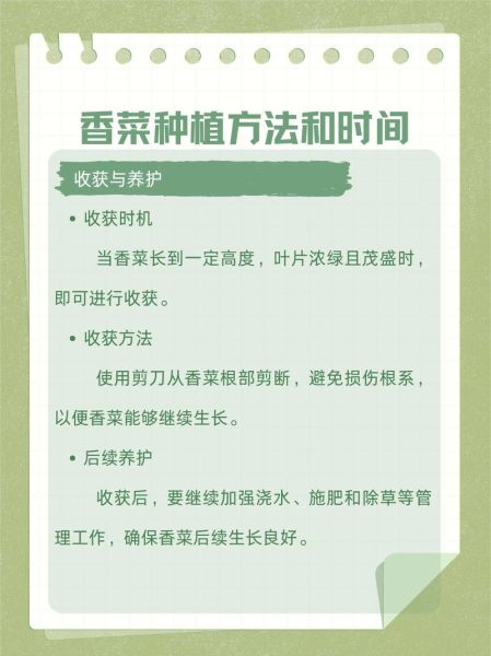 香菜种植技术_香菜多久可以收获-第2张图片-山城妙识