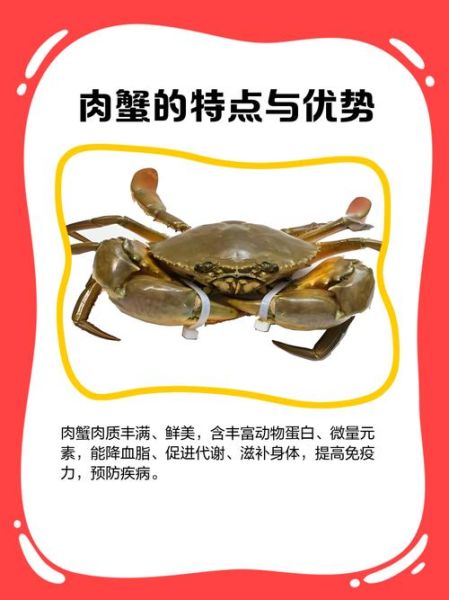 蟹不肉是什么意思_网络流行语来源解析-第2张图片-山城妙识