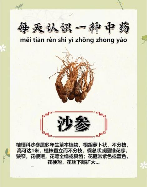 沙参的功效与作用及禁忌症_沙参适合哪些人吃-第1张图片-山城妙识