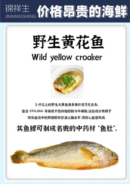 黑鲔鱼和蓝鳍金枪鱼的区别_哪个更好吃-第1张图片-山城妙识