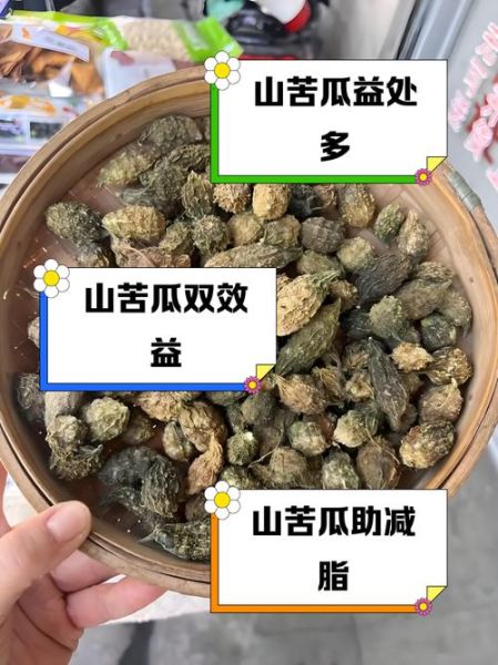 苦瓜降血糖怎么吃_苦瓜有哪些药用功效-第1张图片-山城妙识