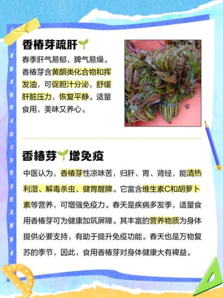香椿芽的功效与作用_孕妇能吃吗-第1张图片-山城妙识