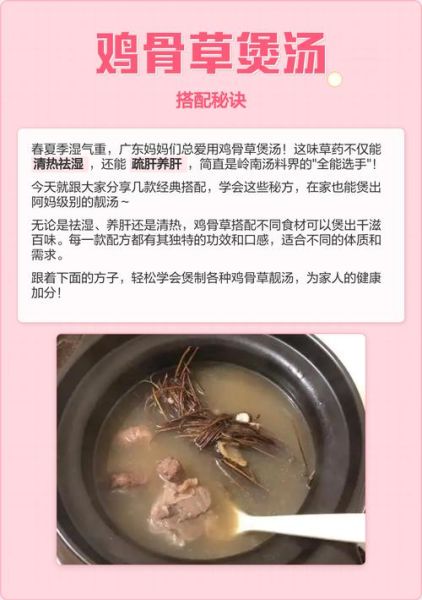 鸡骨草煲汤的做法_鸡骨草和什么搭配煲汤最好-第1张图片-山城妙识