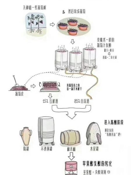葡萄酒怎么酿好喝_家庭自酿葡萄酒的正确步骤-第2张图片-山城妙识