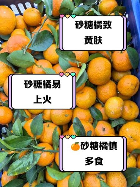沙糖桔吃多了会上火吗_沙糖桔一天最多吃几个-第1张图片-山城妙识