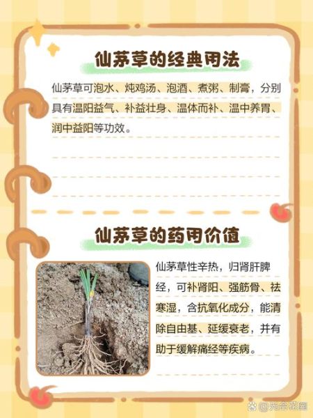 仙茅的功效与作用是什么_仙茅主治哪些疾病-第2张图片-山城妙识 仙茅的功效与作用是什么_仙茅主治哪些疾病-第2张图片-山城妙识