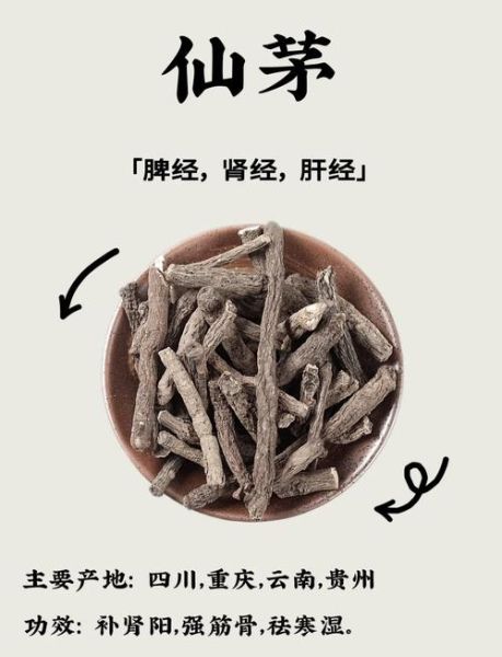 仙茅的功效与作用是什么_仙茅主治哪些疾病-第1张图片-山城妙识 仙茅的功效与作用是什么_仙茅主治哪些疾病-第1张图片-山城妙识
