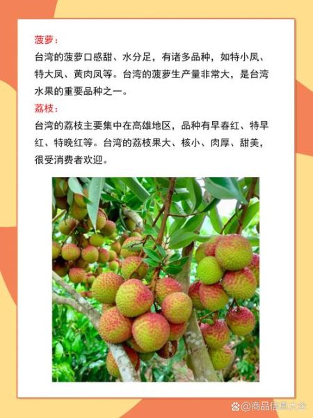 台湾水果种类有哪些_台湾水果名字大全-第1张图片-山城妙识
