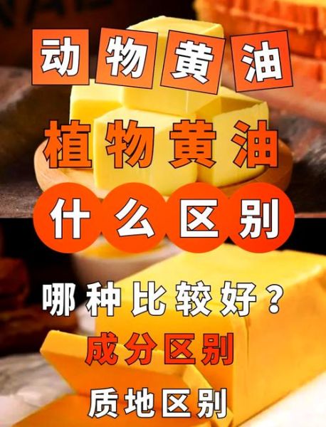 植物黄油和动物黄油哪个健康_哪个更适合日常烹饪-第1张图片-山城妙识