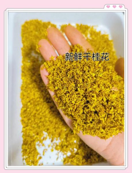 自制干桂花怎么做_自制干桂花能保存多久-第1张图片-山城妙识